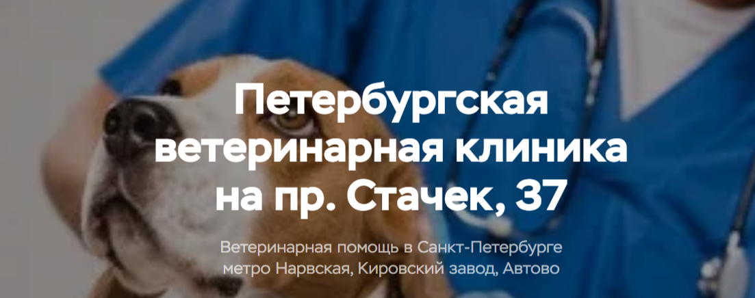 Инфекционный перитонит кошек FIP - диагностика и лечение.