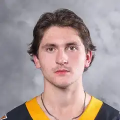 Wilkes-Barre/Scranton Penguins Roster 2025–26 | Full Team Lineup ...