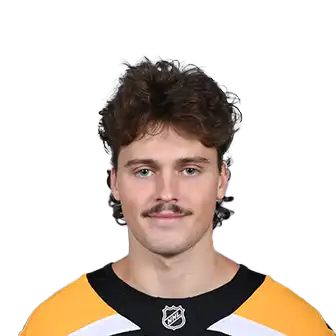 Providence Bruins | Roster | Season 2025-2026 | Benchrates